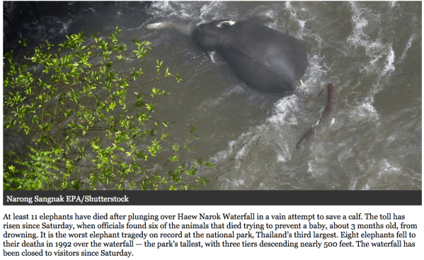 NONHUMAN RIGHTS, IT’S ABOUT TIME – Ginger Marin, Bionic Lady ...